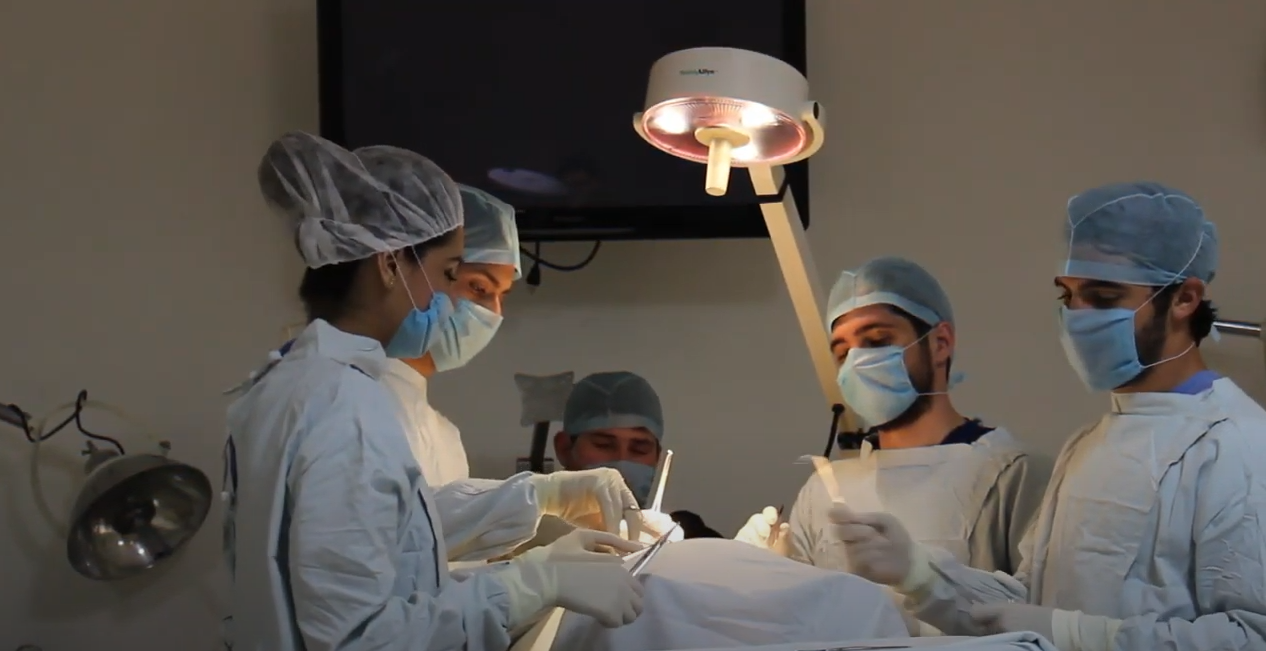 Licenciatura en Biotecnología | Anáhuac Mayab